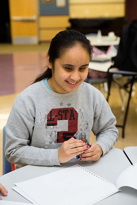 Solving the puzzle – Skyview High School